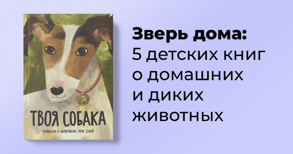 Зверь дома: 5 детских книг о домашних и диких животных